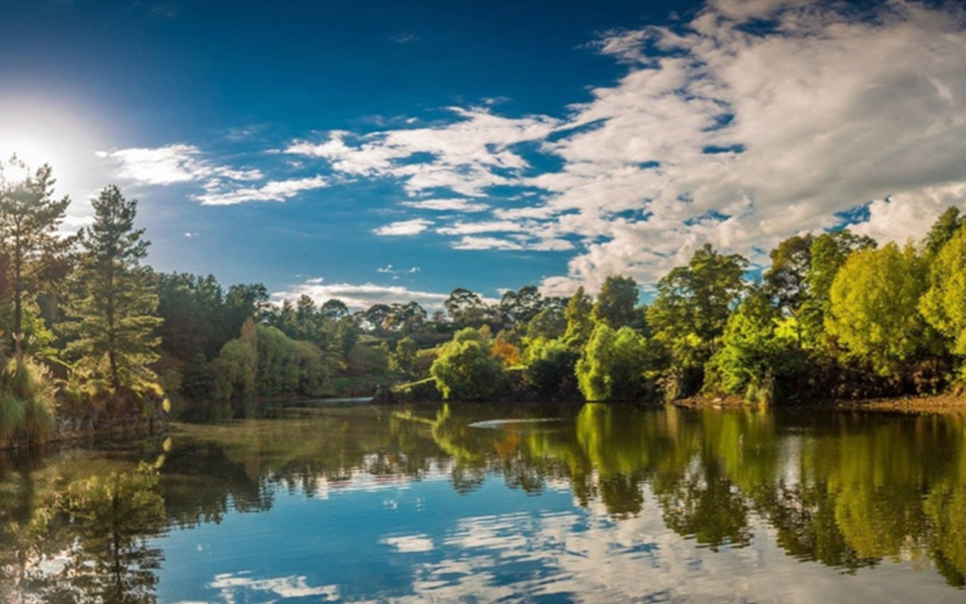 Wilson Botanic Park Master Plan | Casey Conversations